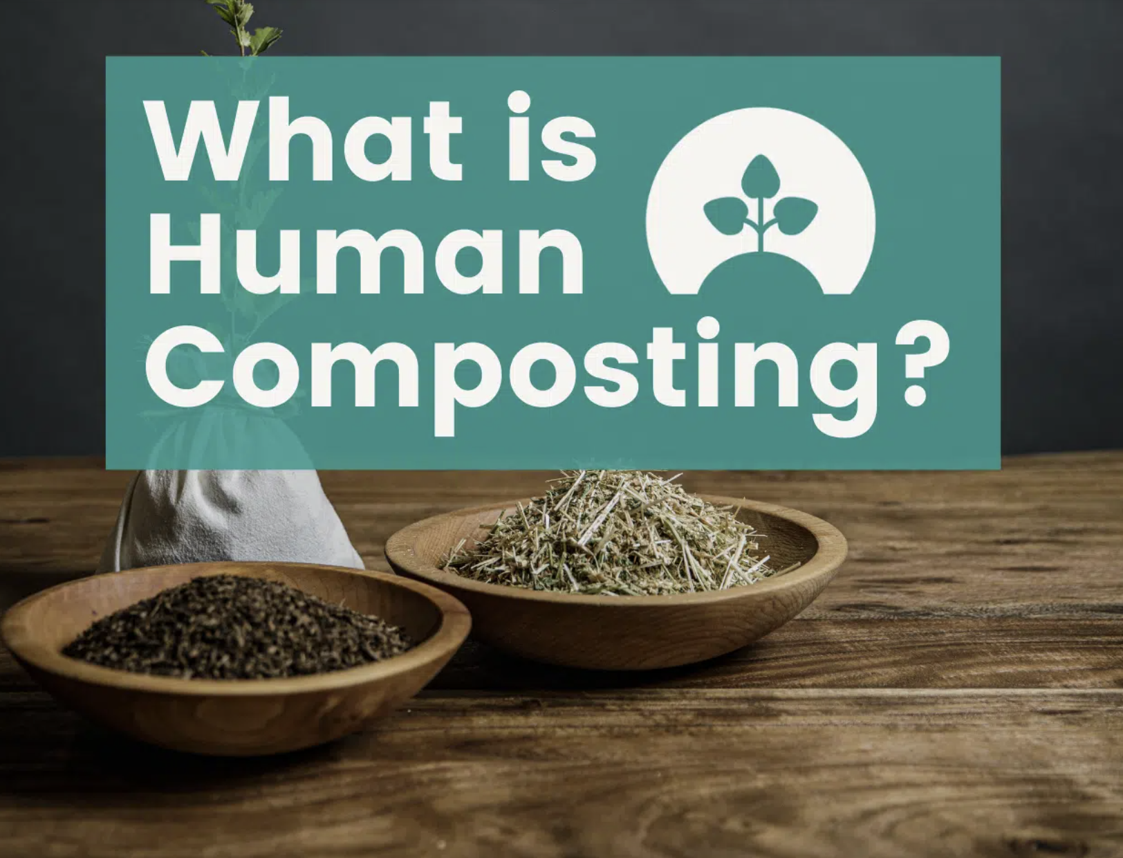 Terramation: Transforming Human Remains into Nutrient-Rich Soil ...